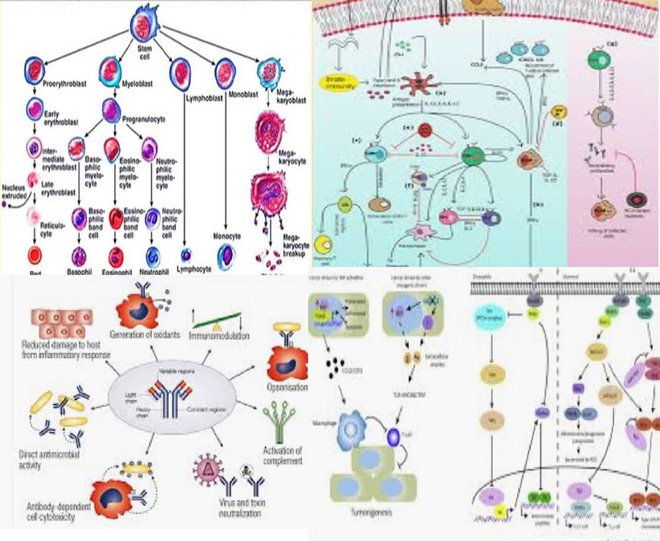 Bài viết vui gây 'bão' của BS tuyến đầu chống dịch: Virus thì rất nham ...