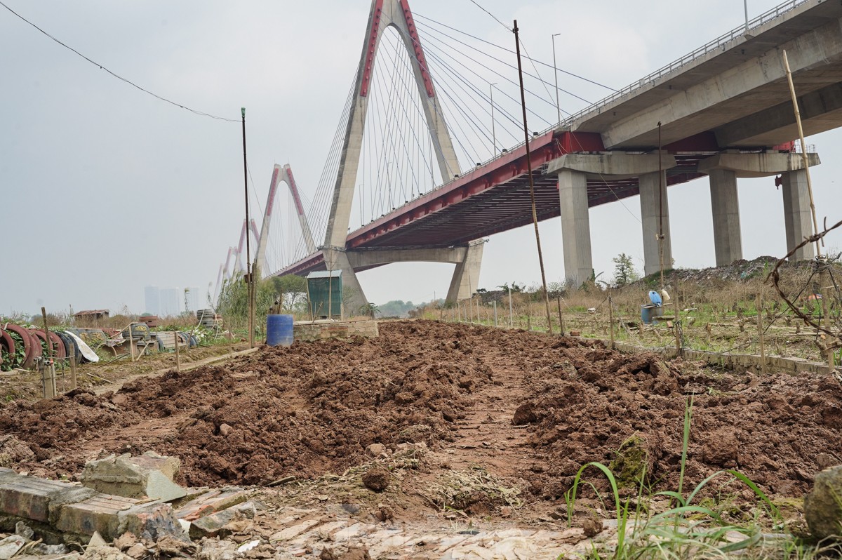 Người dân khóc nghẹn khi đốt từng gốc cây, nỗ lực 'hồi sinh' làng đào ...