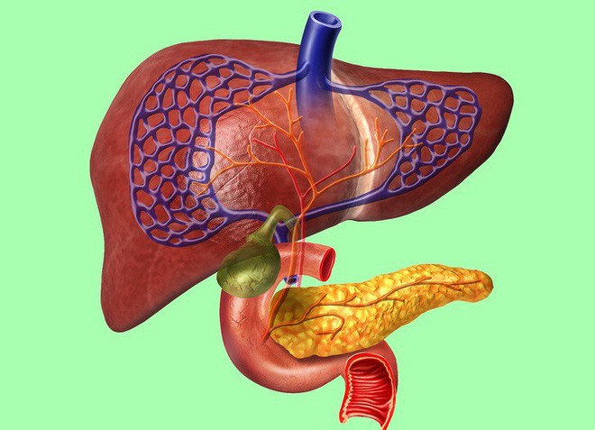 Ai quan tâm đến sức khoẻ tim, gan, phổi, thận cần phải biết điều này
