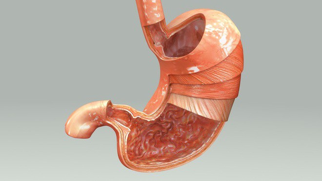 Ai quan tâm đến sức khoẻ tim, gan, phổi, thận cần phải biết điều này