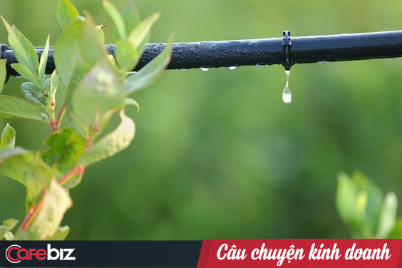 Simcha Blass - "cha đẻ" hệ thống tưới nhỏ giọt huyền thoại của người Do ...