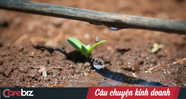 Simcha Blass - "cha đẻ" hệ thống tưới nhỏ giọt huyền thoại của người Do ...