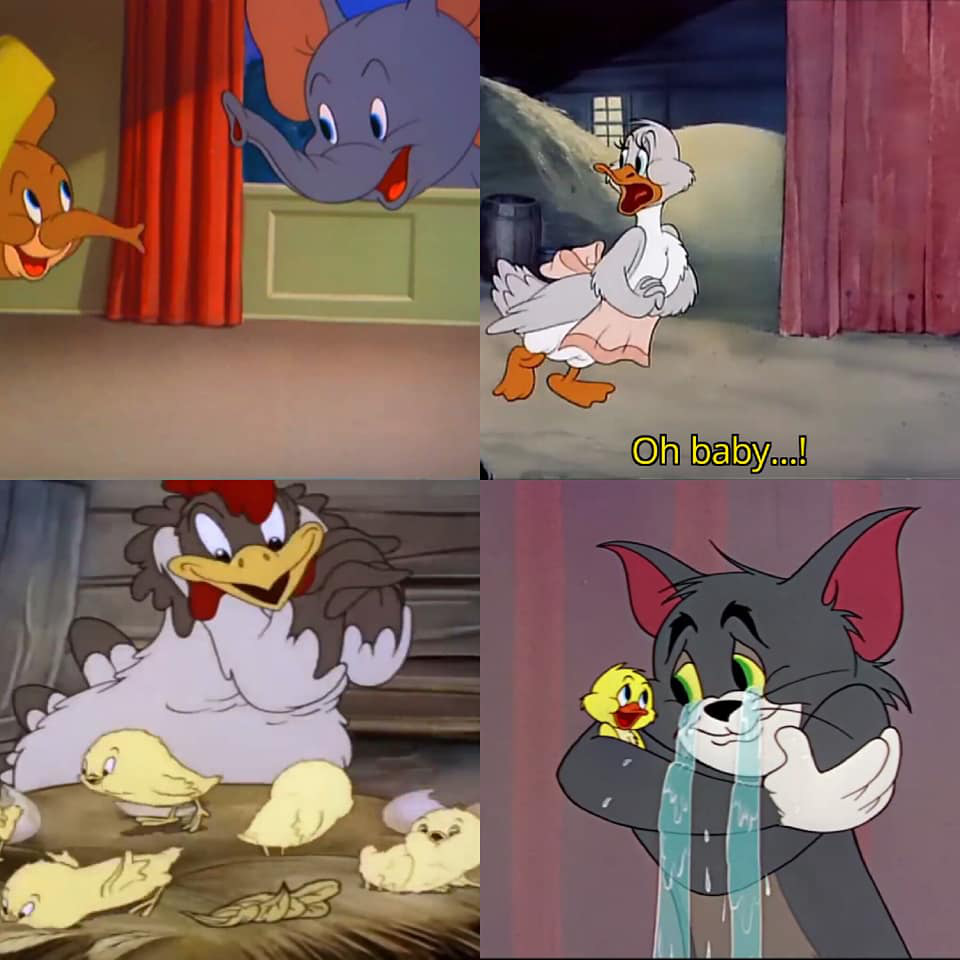 14 bài học cuộc sống "soi chiếu" từ phim hoạt hình 'Tom và Jerry', điều ...