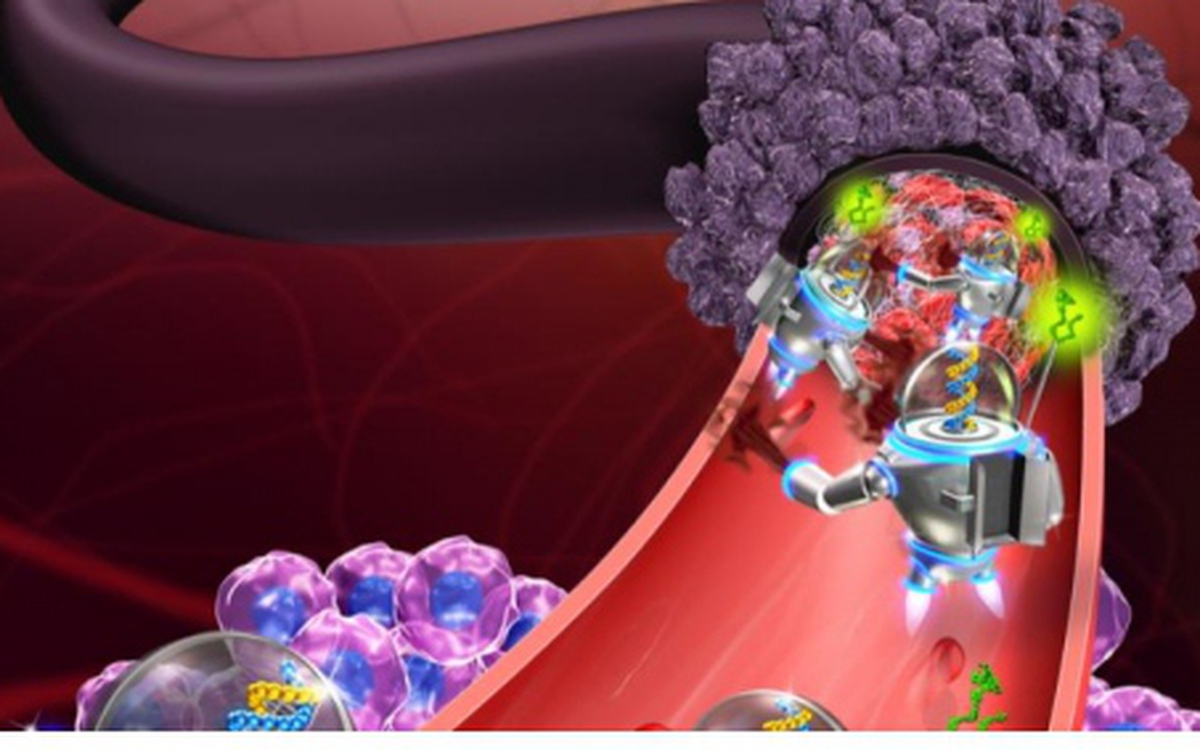 Nanorobot - chìa khóa giúp loài người sống thọ đến 1.000 tuổi?