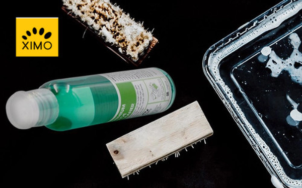 Điều gì tạo nên Ximo - Thương hiệu vệ sinh giày Việt lọt Top 100 Thương ...