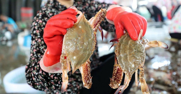 3 mẹo chọn ghẹ con nào cũng tươi ngon chắc thịt