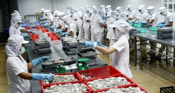 Seaprodex sắp chuyển thành công ty 100% tư nhân