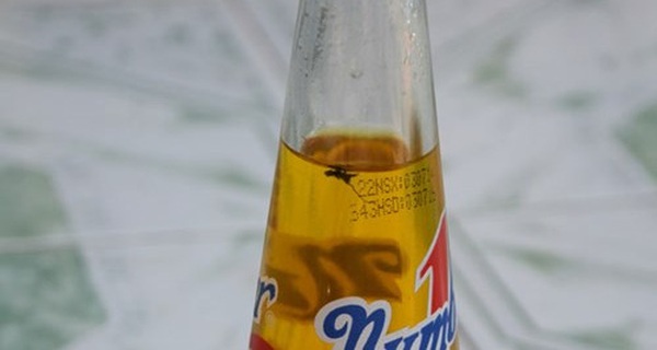 Vụ “Con ruồi trong chai Number 1”: Khủng hoảng là do “ghét cái thái độ”