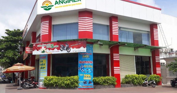 Angimex áp lực tứ bề: Không đủ khả năng thanh toán lãi trái phiếu đến ...