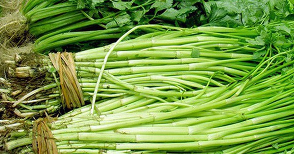 Rau cần có nhiều lợi ích nhưng những người sau nên tránh xa tuyệt đối