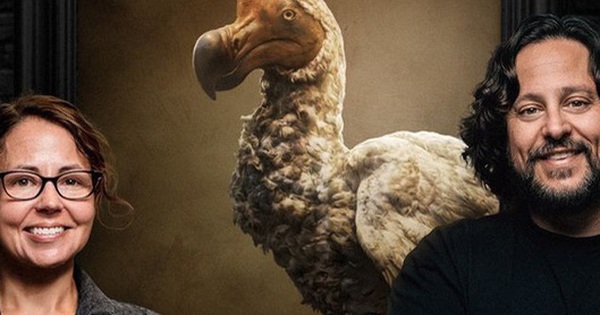 Loài chim Dodo đã tuyệt chủng có thể sẽ được các nhà khoa học “hồi sinh”