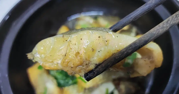 Hóa ra đây mới là "Vua miễn dịch", một miếng có tới 17 loại axit amin ...