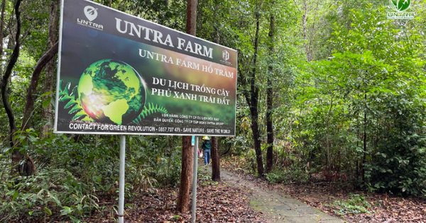 Untra Group - Tiên phong ESG, du lịch trồng cây tại Việt Nam