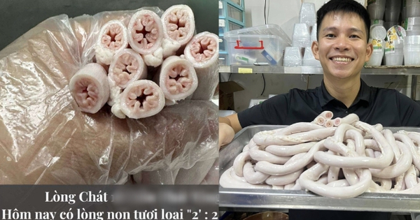 Ngô Quyền Thế có đang thách thức?