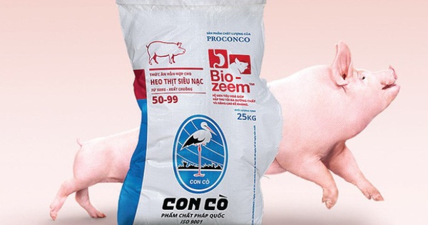 Một công ty chăn lợn “nhỏ xíu” báo lãi hơn 800 tỷ nhờ bán Cám Con Cò