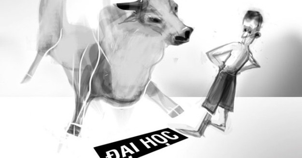 Tôi muốn con sau này đi chăn bò